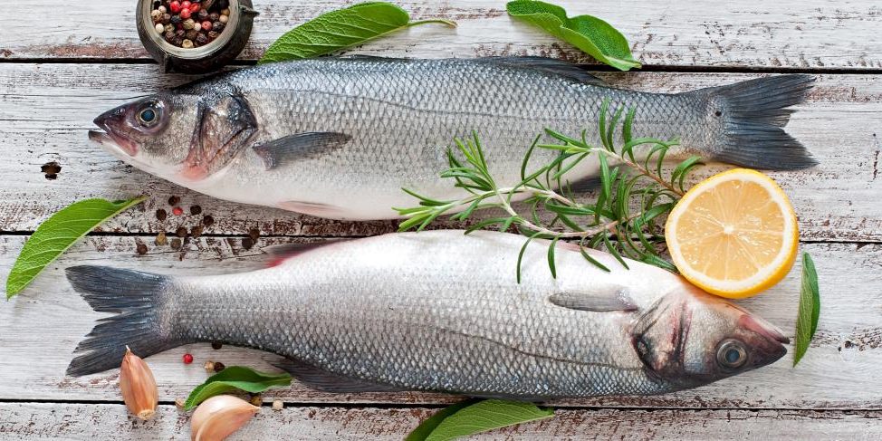 How to Vacuum Seal Fish - Pac Food